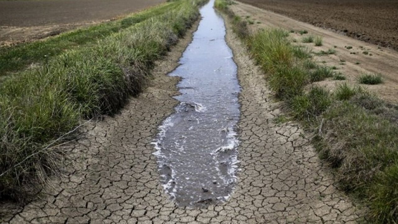 Hacia una primavera más seca en la Argentina - Portal Apícola